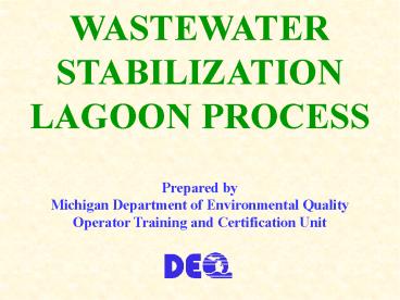 WASTEWATER STABILIZATION LAGOON PROCESS presentation | free to download