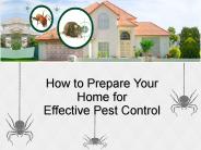 PPT – Effective Steps on Pest Control Richmond Procedure PowerPoint ...