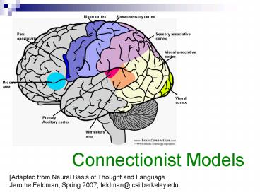PPT – Connectionist Models: Basics PowerPoint presentation | free to ...