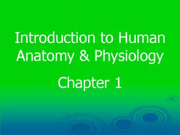 Introduction to Human Anatomy presentation | free to download