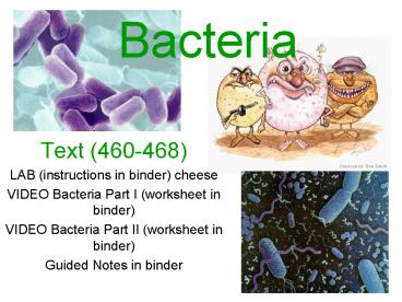 PPT – Bacteria PowerPoint presentation | free to download - id: 69c40f ...