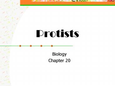 Protists presentation | free to download