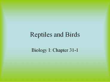 PPT – Reptiles and Birds PowerPoint presentation | free to download ...