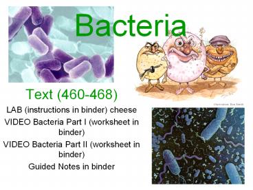 PPT – Bacteria PowerPoint presentation | free to download - id: 6a91de ...