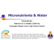 PPT – Micronutrients PowerPoint presentation | free to view - id ...
