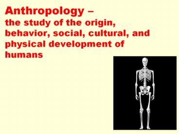 Anthropology presentation | free to download