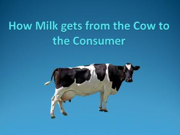 How Milk gets from the Cow to the Consumer presentation | free to download