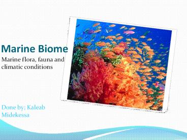 marine biome presentation | free to download