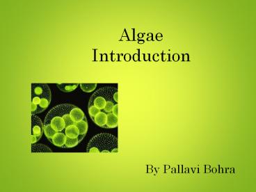 Introduction to Microalgae presentation | free to download