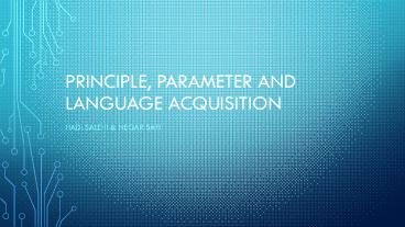 Principle & Parameter presentation | free to download