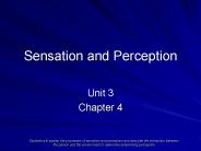 PPT – La Perception PowerPoint presentation | free to download - id ...