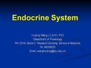 PPT – THE ENDOCRINE SYSTEM PowerPoint presentation | free to download ...