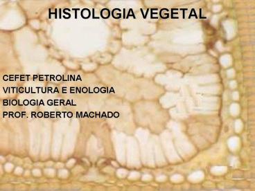 PPT – HISTOLOGIA VEGETAL PowerPoint presentation | free to view - id ...
