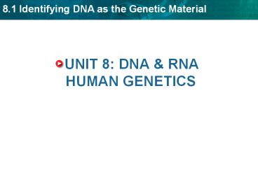 PPT – UNIT 8: DNA PowerPoint presentation | free to download - id ...