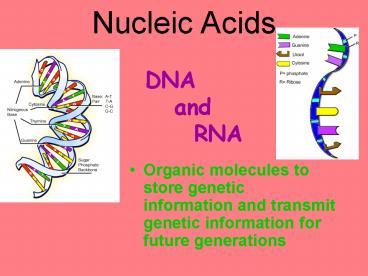 PPT – Nucleic Acids PowerPoint presentation | free to download - id ...