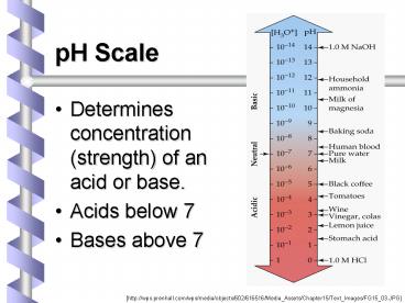 PPT – pH Scale PowerPoint presentation | free to view - id: 6cd7ac-YTZkY