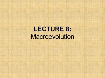 PPT – LECTURE 8: Macroevolution PowerPoint presentation | free to ...