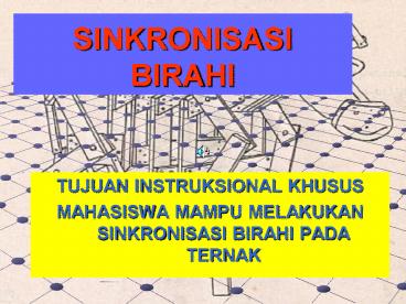 SINKRONISASI BIRAHI presentation | free to view
