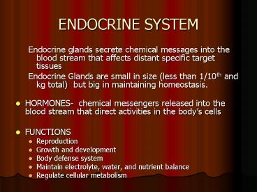 PPT – ENDOCRINE SYSTEM PowerPoint presentation | free to download - id ...