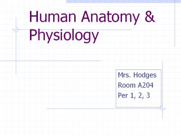 PPT – Human Anatomy PowerPoint presentation | free to download - id ...
