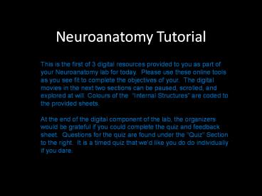 Neuroanatomy Tutorial presentation | free to download