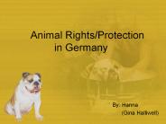 PPT – What is Animal Rights PowerPoint presentation | free to view - id ...