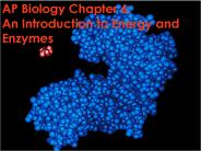 PPT – Chapter 34 Energy and Metabolism I: Digestion PowerPoint ...