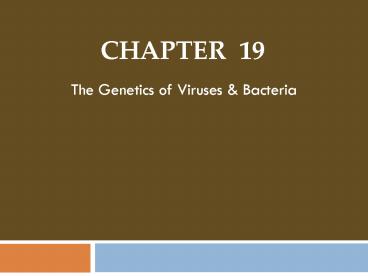 The Genetics of Viruses presentation | free to download