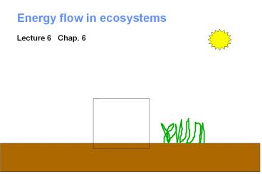 PPT – Energy Flow Through an Ecosystem PowerPoint presentation | free ...