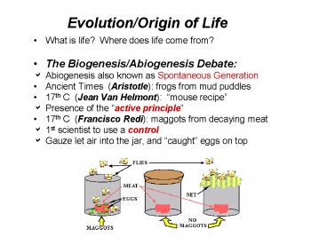 PPT – Evolution/Origin of Life PowerPoint presentation | free to view ...