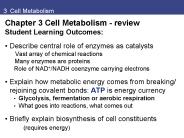 PPT – Chapter 34 Energy and Metabolism I: Digestion PowerPoint ...