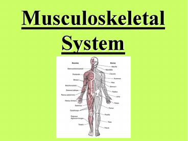 Musculoskeletal System presentation | free to download