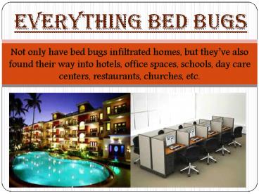Everything Bed Bugs presentation | free to download