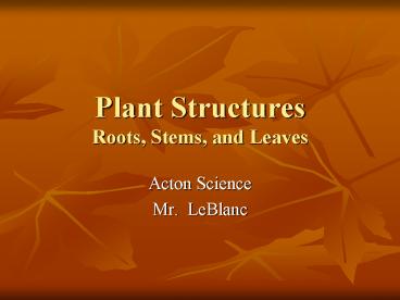 PPT – Plant Structures Roots, Stems, and Leaves PowerPoint presentation ...