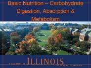 PPT – Absolute nutrition PowerPoint presentation | free to download ...