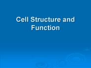 Cell Structure and Function presentation | free to download