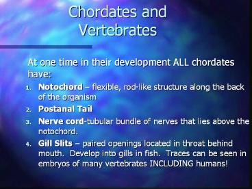 Chordates and Vertebrates presentation | free to download