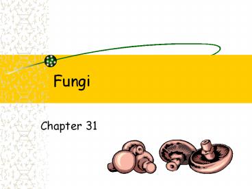 Fungi presentation | free to download