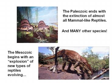 The Paleozoic ends with the extinction of almost all Mammal-like ...