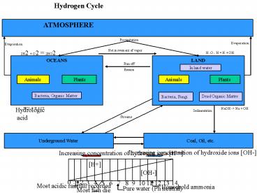 Hydrogen Cycle presentation | free to download