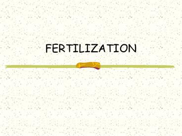 PPT – FERTILIZATION PowerPoint presentation | free to view - id: 6fce7f ...