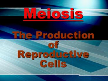 Meiosis The Production of Reproductive Cells presentation | free to ...