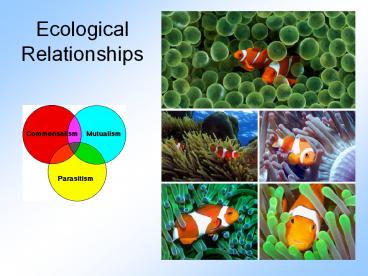 Ecological Relationships presentation | free to view