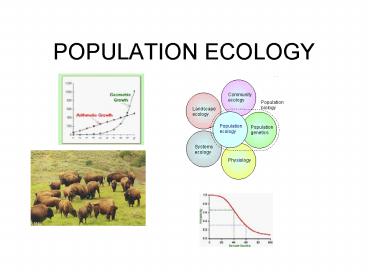 POPULATION ECOLOGY presentation | free to view