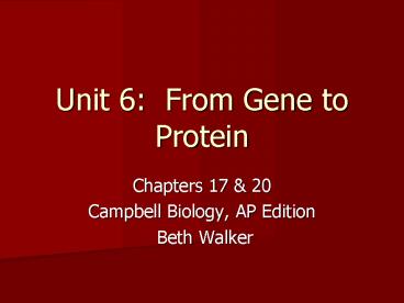 Unit 6: From Gene to Protein presentation | free to view