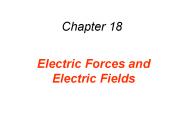 PPT – Coulombs Law and Electric Fields PowerPoint presentation | free ...