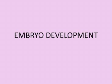 EMBRYO DEVELOPMENT presentation | free to view