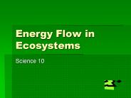 PPT – Science 9 - Energy Flow in Ecosystems PowerPoint presentation ...