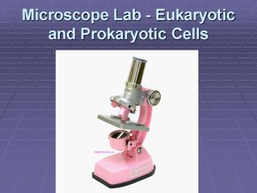 Microscope Lab - Eukaryotic and Prokaryotic Cells presentation | free ...