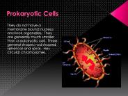 PPT – Prokaryotic and Eukaryotic Cells PowerPoint presentation | free ...